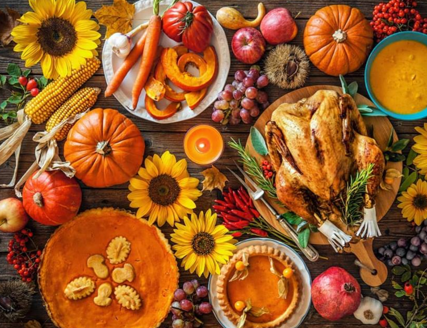 triple burden of malnutrition – Galen Centre